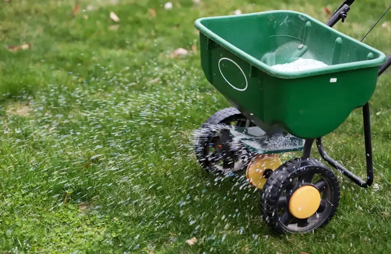 Lawn Care in Northern Alabama